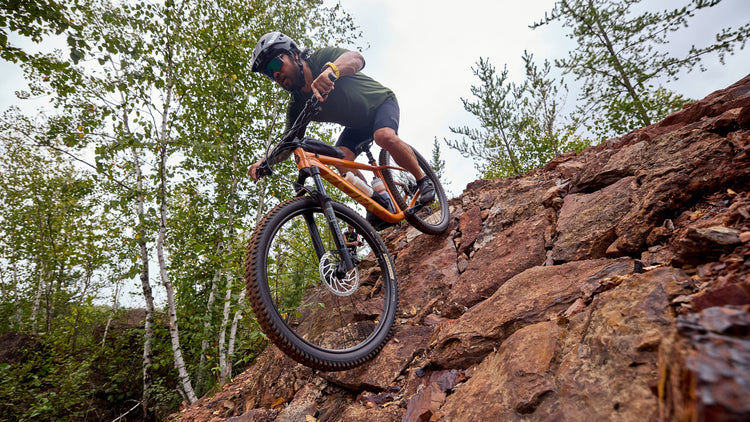 Mountain Bikes – Salsa Cycles