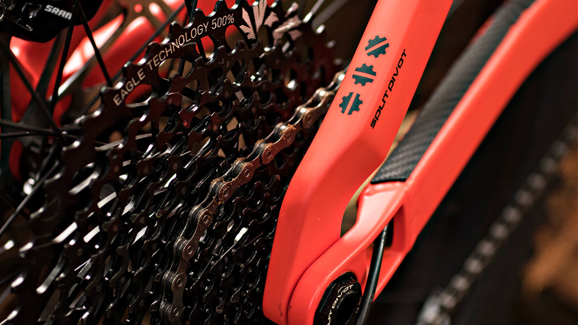 Carbon XC 29er – Salsa Spearfish C SLX – Salsa Cycles