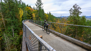 Confluence – Salsa Cycles