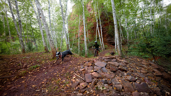 Timberjack – Salsa Cycles