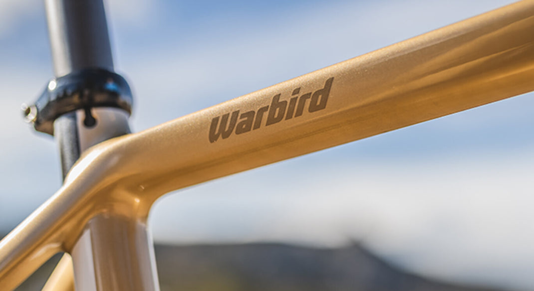 Warbird – Salsa Cycles