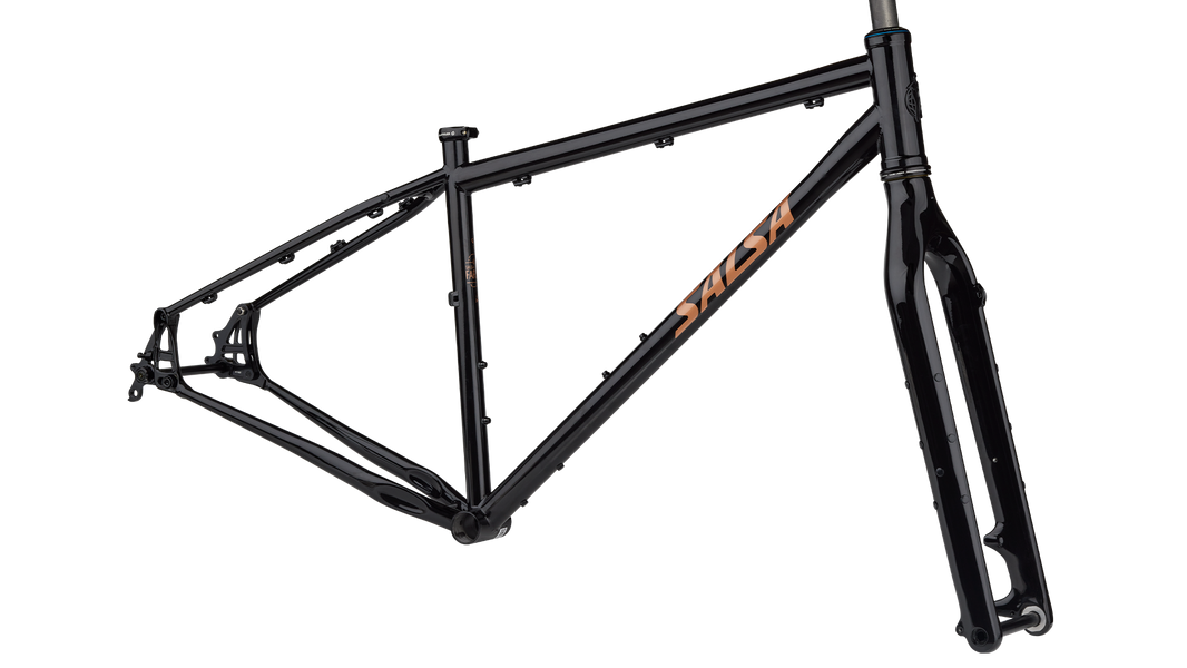 Fargo – Salsa Cycles