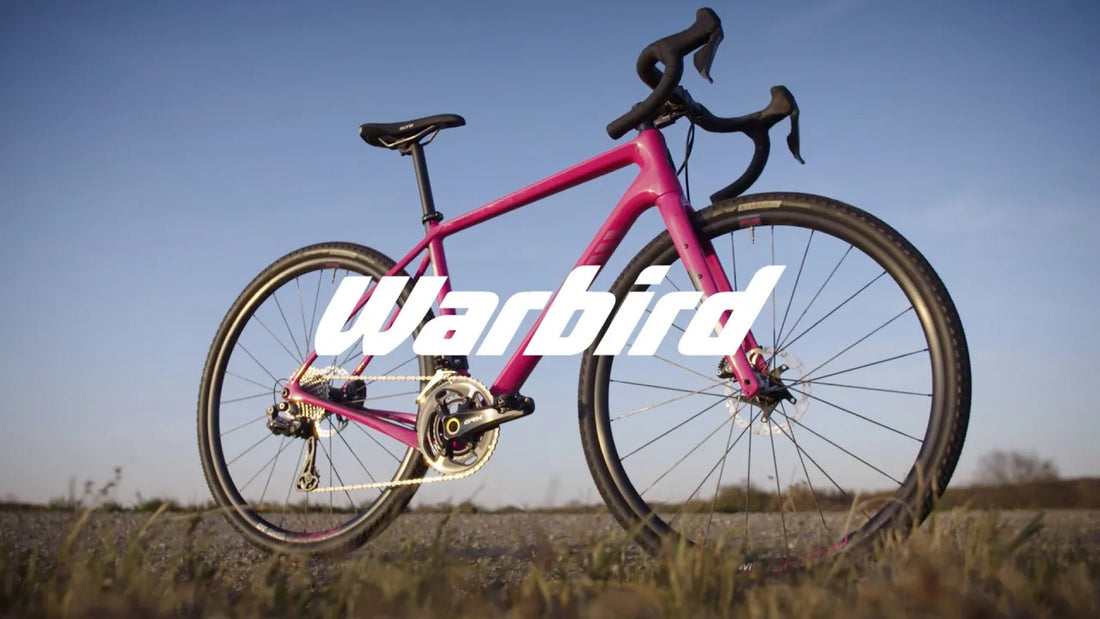 Warbird – Salsa Cycles